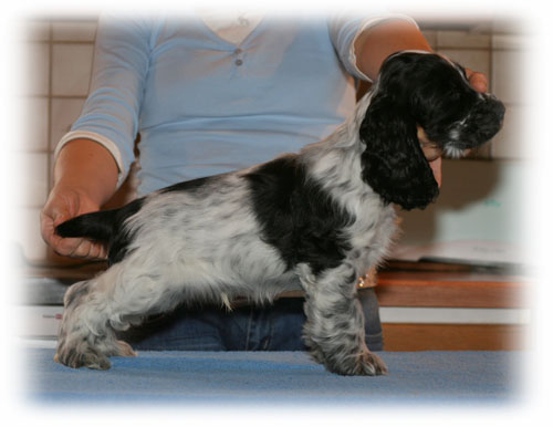 Indra - JungleKey.in Image #250